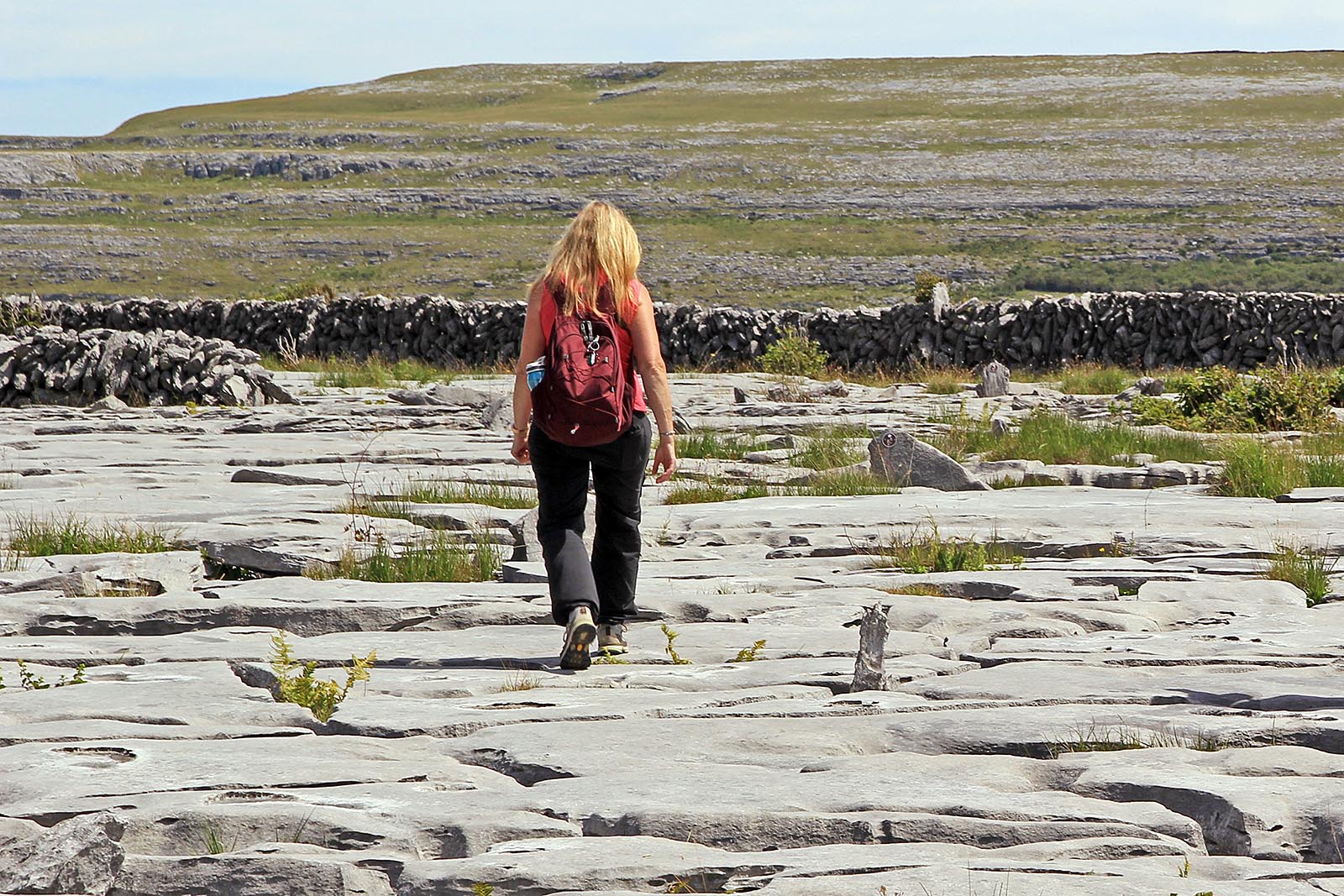 Burren Guided Walk - 23 May - Burren Walks
